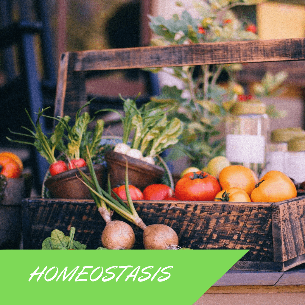 Accueil - homeorhesis-coaching - Retrouvez une meilleure santé